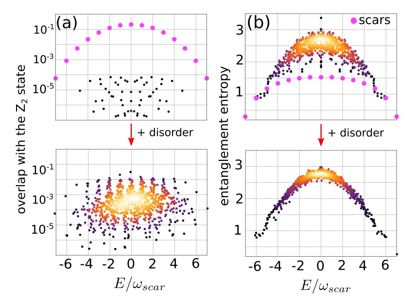 Research – Quantum Hardware Simulations – UW–Madison